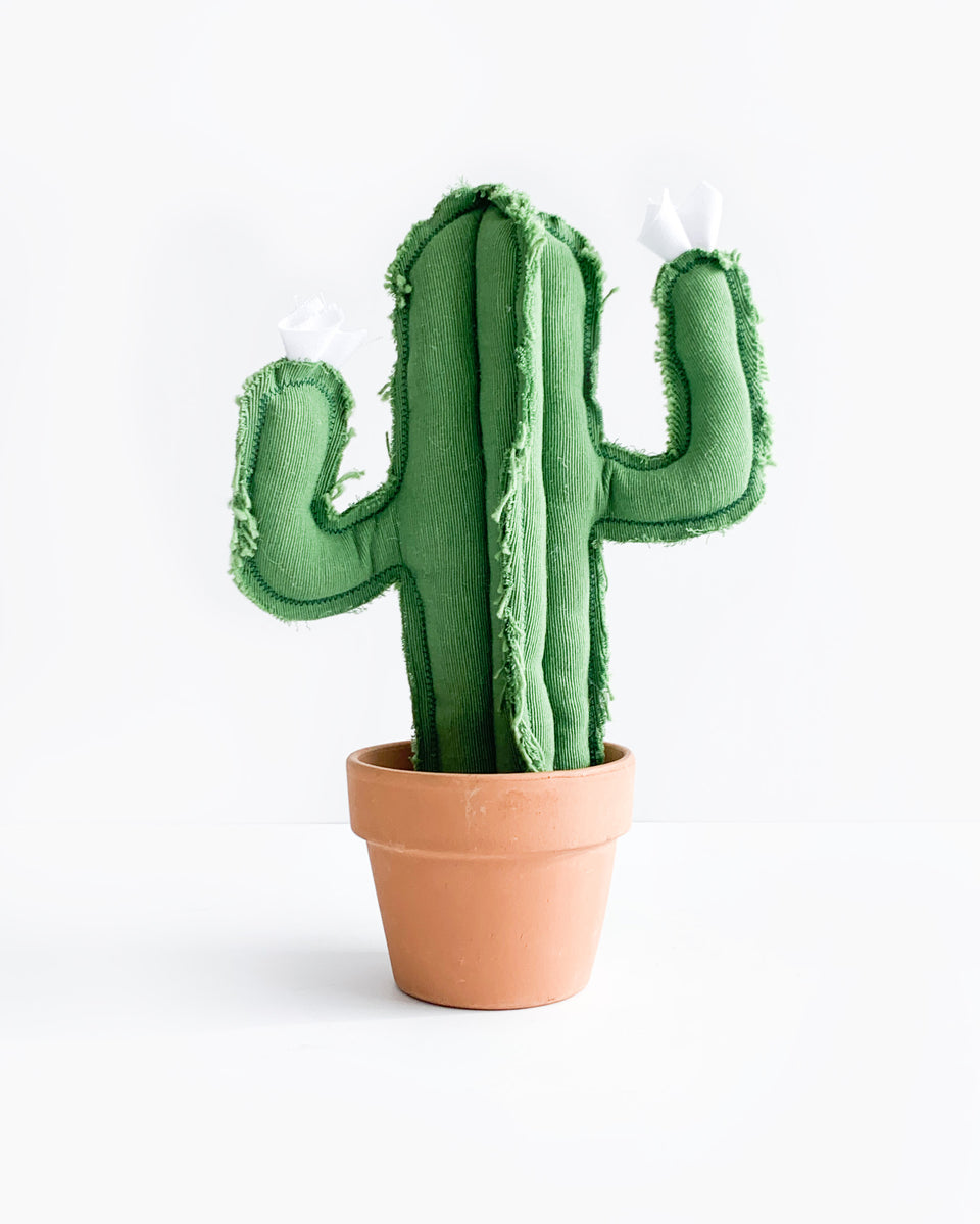 Medium Saguaro Cactus - Green – Samak