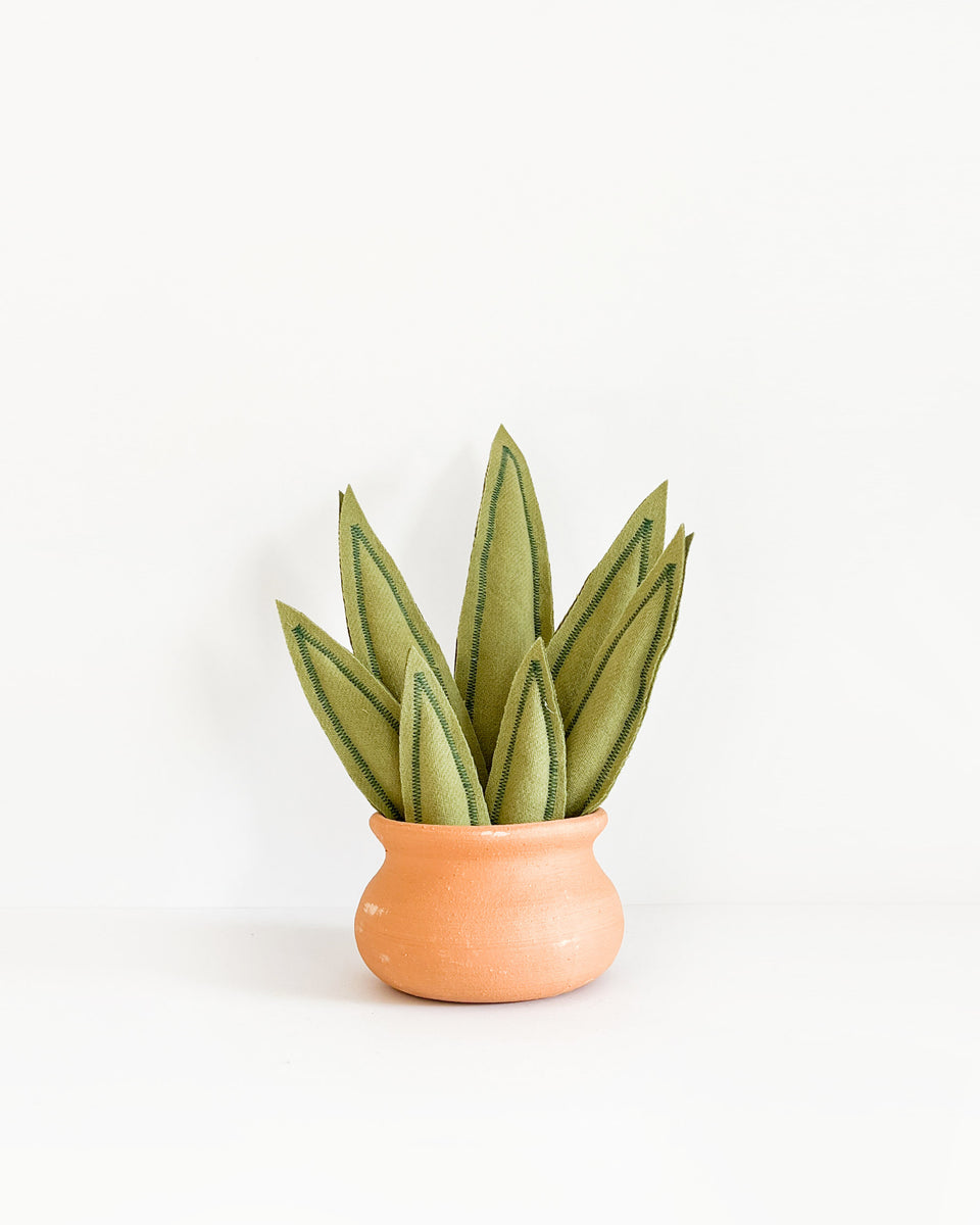 Medium Snake Plant - Olive (Sample) – Samak